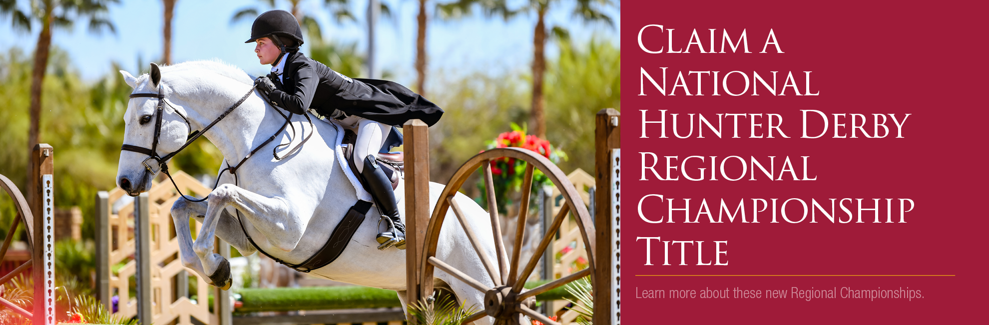 The United States Hunter Jumper Association (USHJA) | Equestrian Sports ...